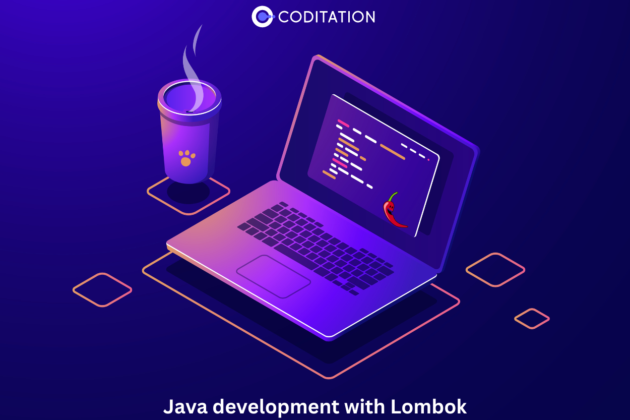 How to use Lombok in Java development
